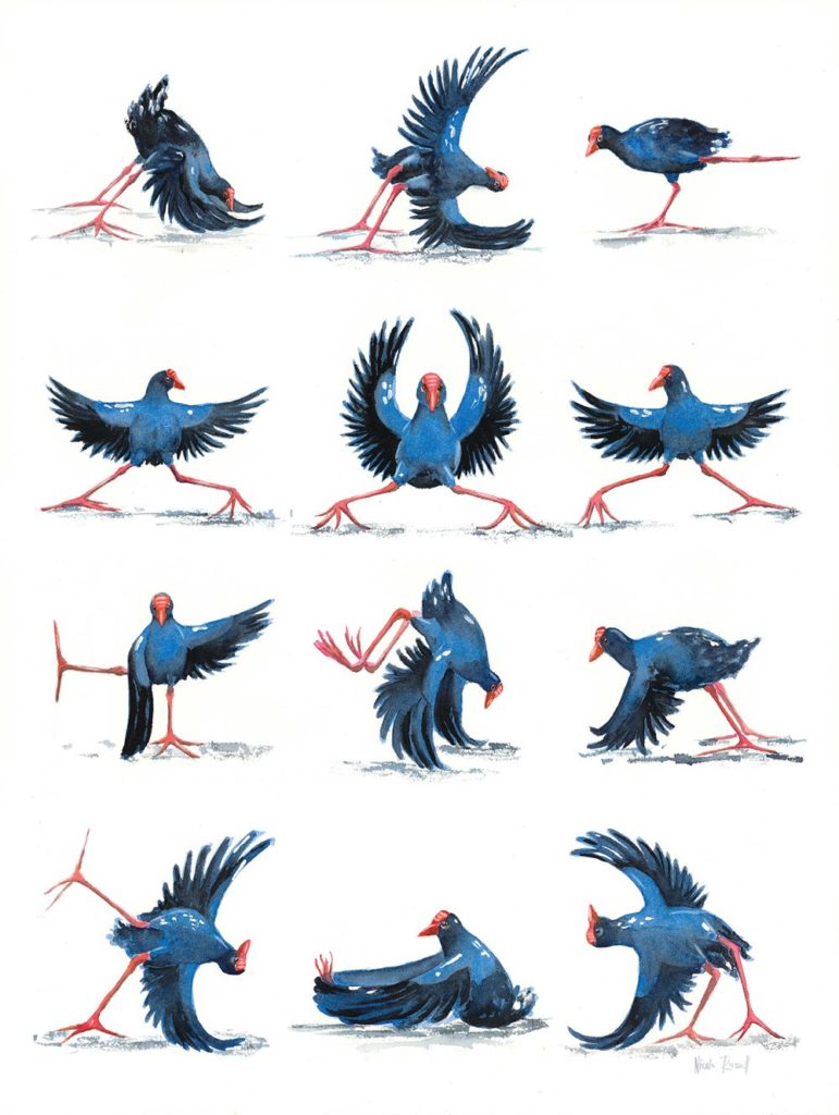 The Yoga Pukeko - A4 Print - Nicole Russell Art Classes and Workshops